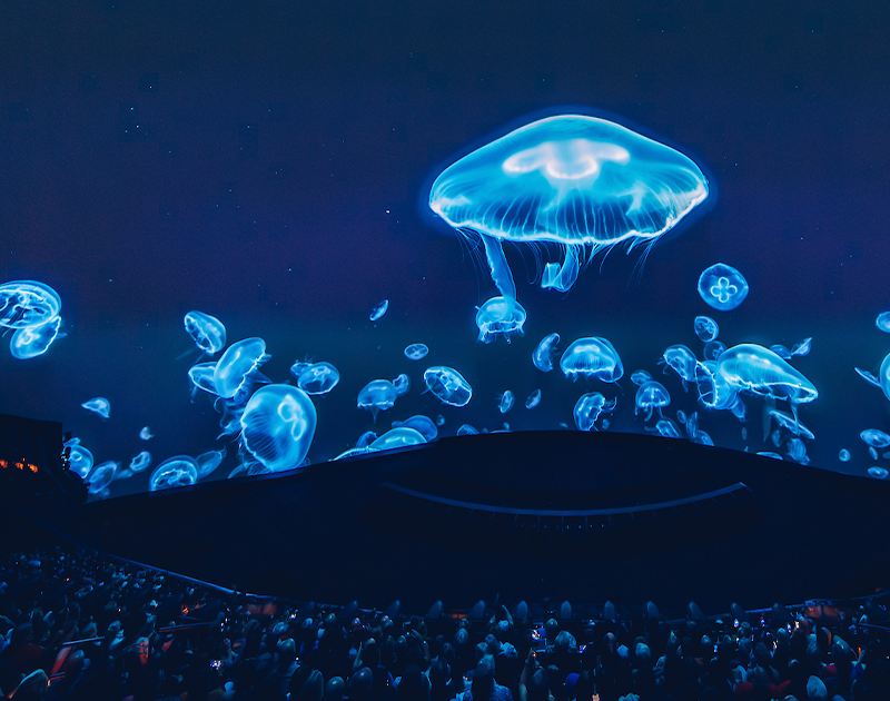 The Sphere Experience Tickets: Postcard From Earth Vegas | Sphere